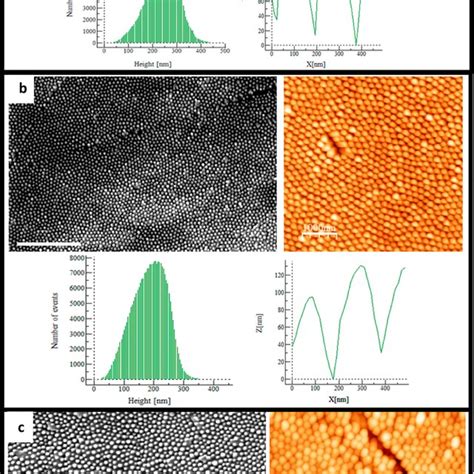Sem Image Afm Height Histogram Afm Height Cross Section Profile And
