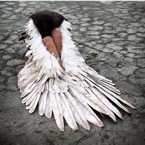 Robyn Knight On Toyhouse