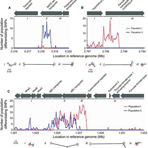 Figure S6 Core Genome Sweep Regions For Populations I And Ii Related Download Scientific
