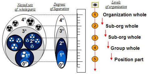 Model Organization Nodes