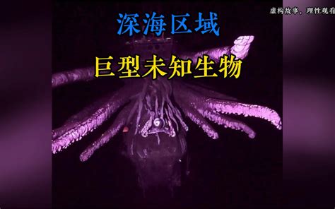 南极洲附近海域内发现一种未知的无脊椎生物 奇闻档案录 奇闻档案录 哔哩哔哩视频