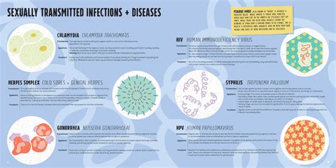 How To Sex A Guide To Your Downstairs Behance