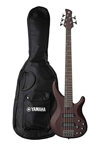 5 String Bass Tuning Options Audio Mav