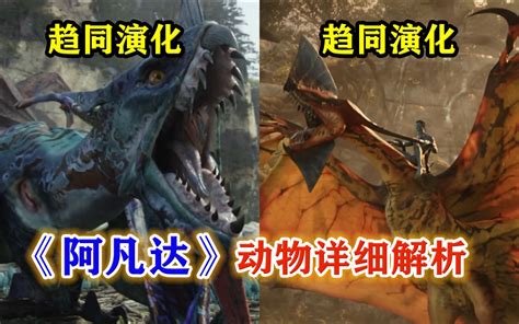 探寻潘多拉星球的生态—《阿凡达》15种1登场动物详细解析（下）资源下载 下载狗工具