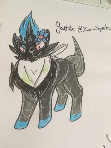 Zorua Pokémon Amino