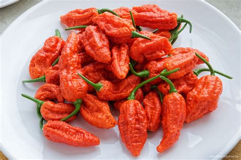 Александр Токарев