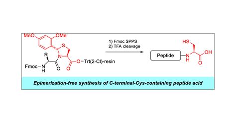 Epimerization Free Preparation Of C Terminal Cys Peptide Acid By Fmoc Spps Using Pseudoproline