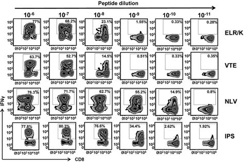 Functional Avidity Of Cmv Specific T Cells Cmv Specific T Cells Were