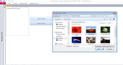 How To Upload And Show Image In Microsoft Access Through Vba Code