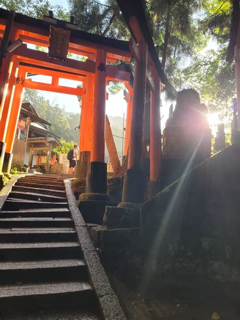 Top Most Picturesque Views In Kyoto