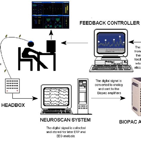 The Closed Loop System Download Scientific Diagram