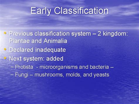 Chapter 14 Lesson 2 Classifying Species Classification Grouping