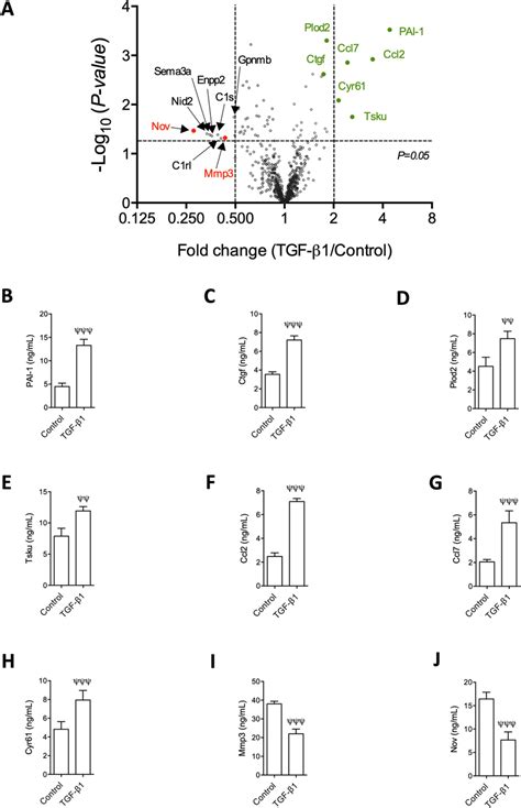 Volcano Plot Of Tgf β1 Regulated Secretome And Elisa Validation Of