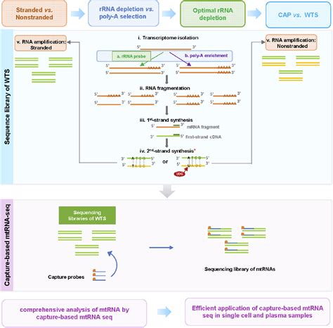 Figure 1 From A High Ecient Capture Based Ngs Approach For