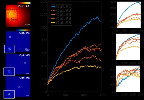 examples of single bead focusing obtained over 5 different optimization