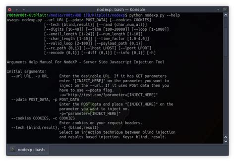 NodeXP Detection And Exploitation Tool For Node Js Services