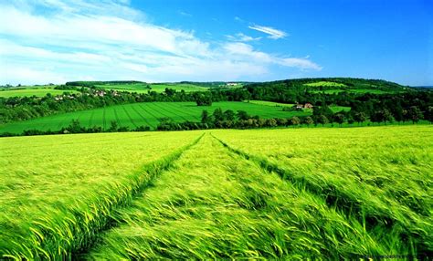 Grasslands Wallpapers Wallpaper Cave