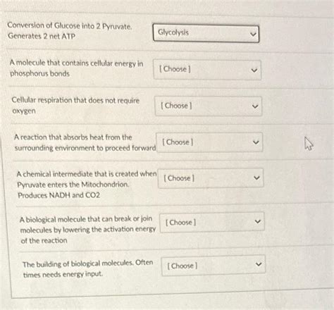 Solved Conversion Of Glucose Into 2 Pyruvate Generates 2