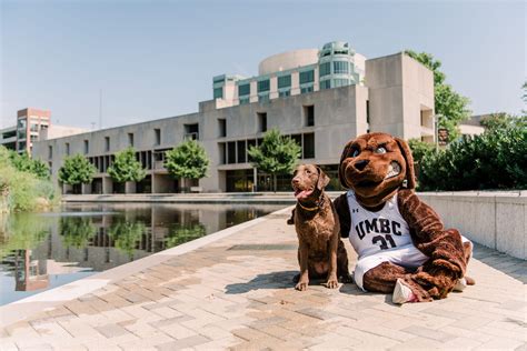 Apply Undergraduate Admissions Umbc