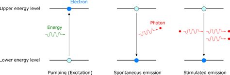 Spontaneous And Stimulated Emission Fiberlabs Inc