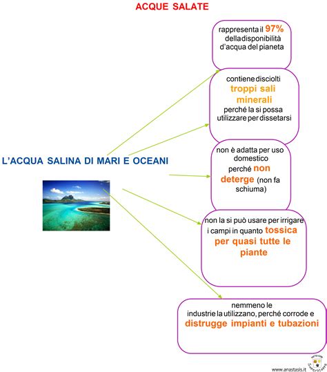 Schemi E Mappe Scienze Scuola Primaria E Secondaria Pagina 4