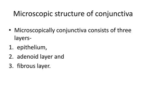 Anatomy Of Conjunctiva Its Layers And Clinical Significance Ppt
