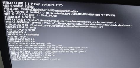 Why Is It Not Booting Rmacos