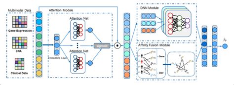 The Overall Process Of Our Multimodal Affinity Fusion Network Mafn