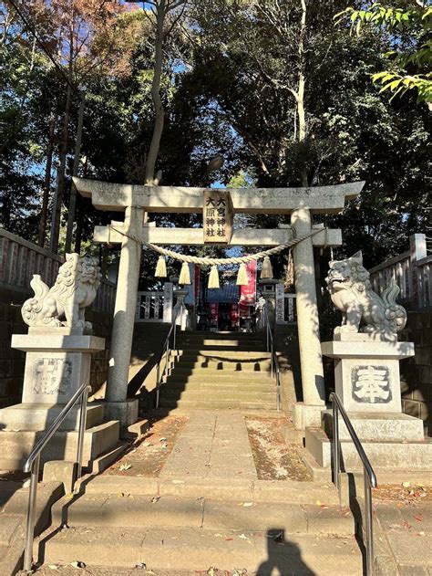 大宮大原神社 千葉県実籾駅 の投稿 8回目 こちらの神社へは最後のお参りです ホトカミ