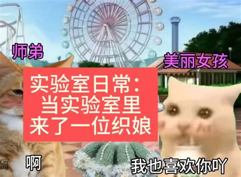 【猫meme】当研究生实验室里来了一个织女 疯狂的史莱姆 疯狂的史莱姆 哔哩哔哩视频