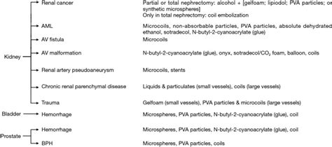 Use Of Angioembolization In Urology A Review Pmc