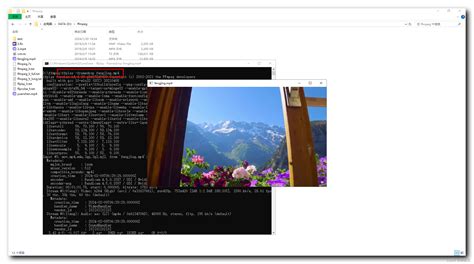 FFmpegffplay 命令行参数 ⑧ 设置自动旋转视频 autorotate 参数 设置丢弃视频帧 framedrop