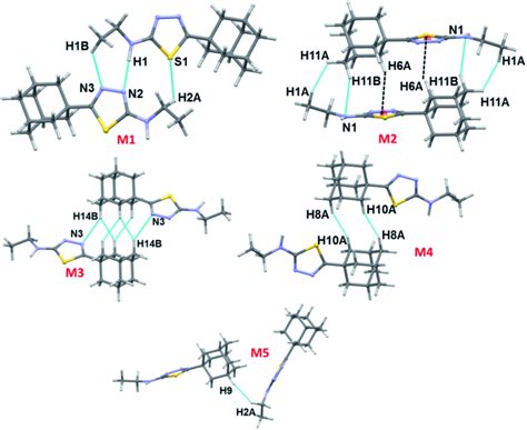 Different Dimeric Motifs Observed In Crystal Structure Of I Download