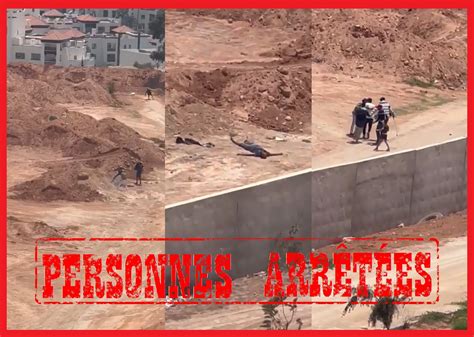 الضرب والجرح يوقف 5 أشخاص بأكادير جريدة السفير 24 Assafir
