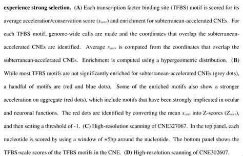 phyloconverge can highlight segments of a conserved non coding element