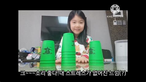 토끼의 스피드 컵쌓기는 이렇습니다 Youtube