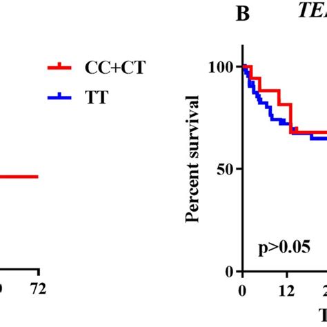 Regulation Of Muc5b Expression In Airway Epithelial Cells Different