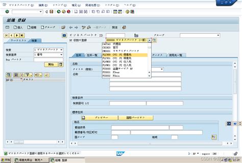 Sap Sd学习笔记03 Sd模块中的主数据 Csdn博客