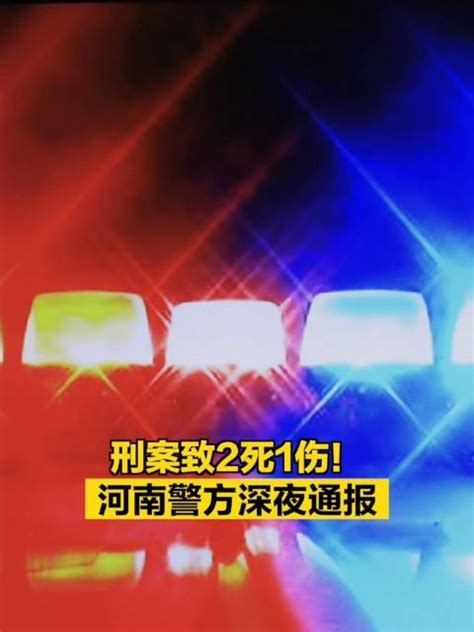 刑案致2死1伤！河南警方深夜通报 ：嫌疑人畏罪自杀手机新浪网