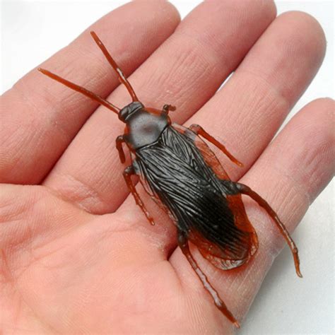 Simulated Cockroach Toy Fake Cockroach Creative Realistic Cockroach