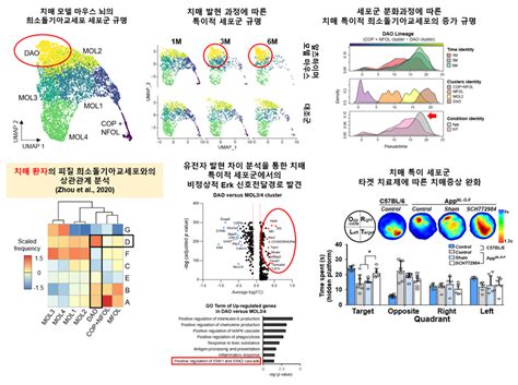 단일세포 전사체 프로파일링 분석을 통한 알츠하이머 치매에 대한 새로운 세포 치료기술 개발 Bric