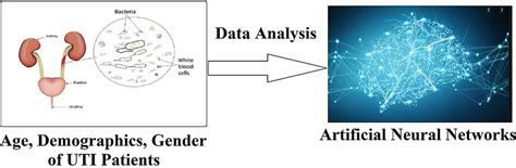 Uti Data Analysis And Its Performance Parameters Download Scientific