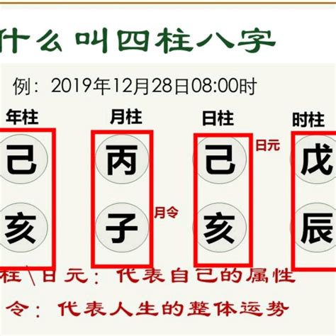 紫薇斗术天干 地支 四柱分亨五行什么未来