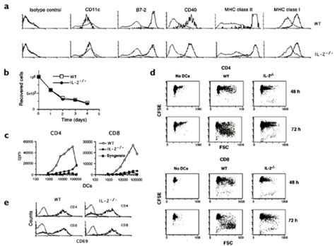 Dc Derived Il 2 Was A Key Molecule For T Cell Activationa Activation
