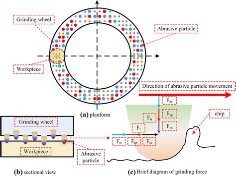 Detailed Illustration Of The Discretized Disc Grinding System A Download Scientific Diagram