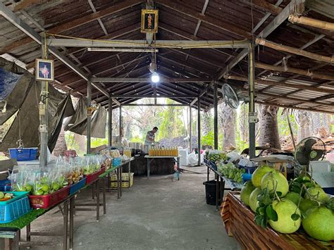 รูป สวนตาลลุงถนอม