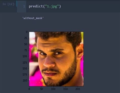 Github Ahmadmostafa2000maskdetectionmodel