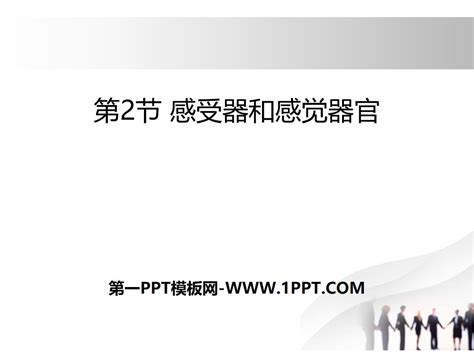《感受器和感觉器官》ppt下载 北师大版七年级生物下册