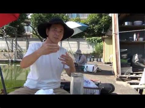 野本釣り教室 44話 両ダンゴエサの効力UPはとは YouTube