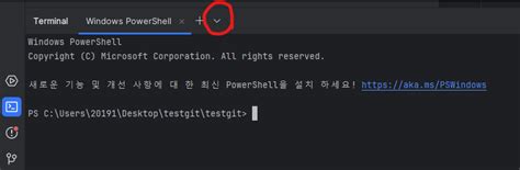 intellij에서 터미널로 git bash 사용하는 방법